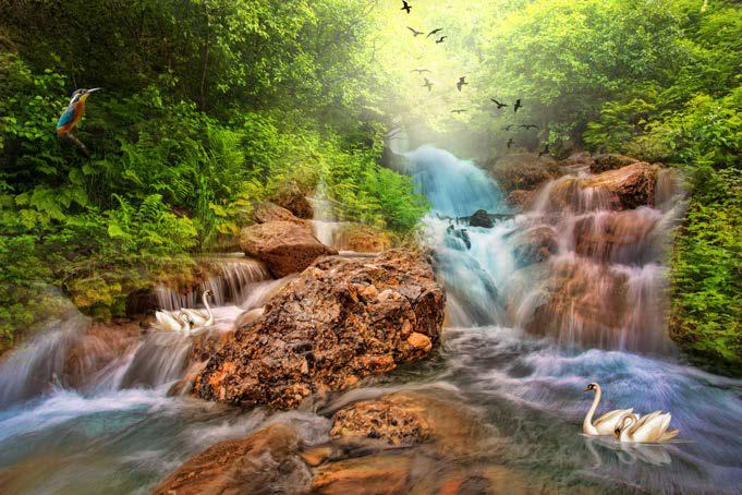 Wonderful Jungle Realistic View Nature Wallpaper – Myindianthings