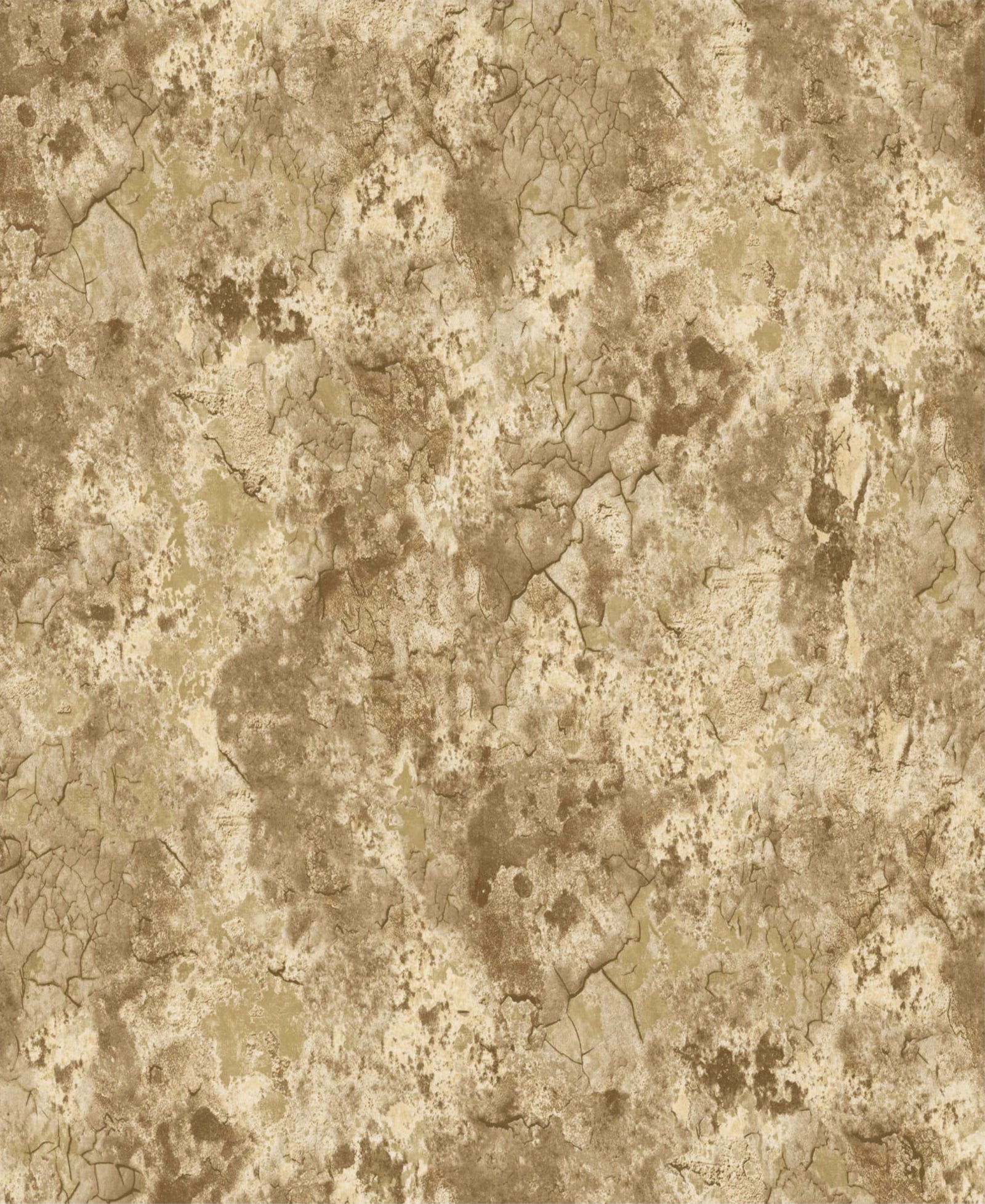 Stellar Granite Slab Wallpaper – Myindianthings